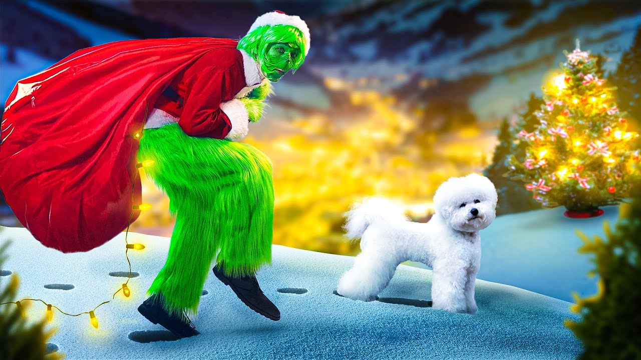 ADOPTAMOS el GRINCH / Historia de Navidad de FUN2U Spanish - YouTube