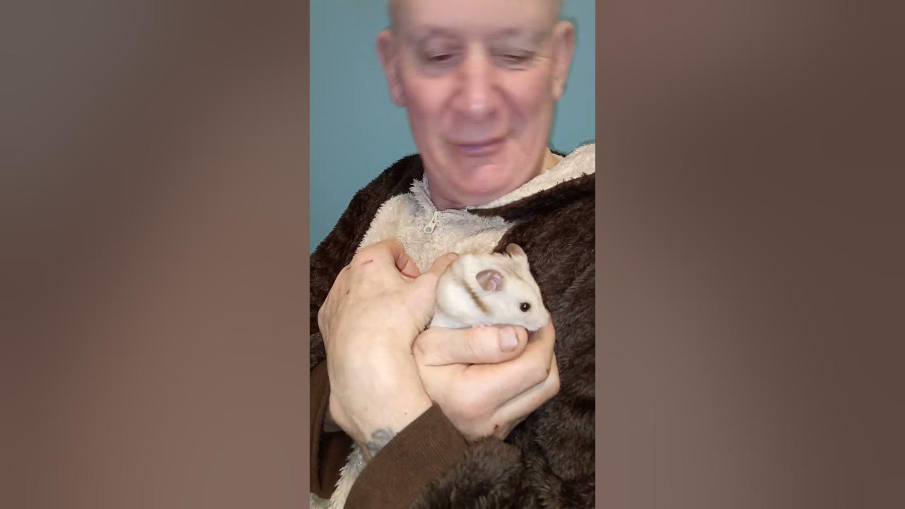 a hamster kiss 😘,🐹 - YouTube