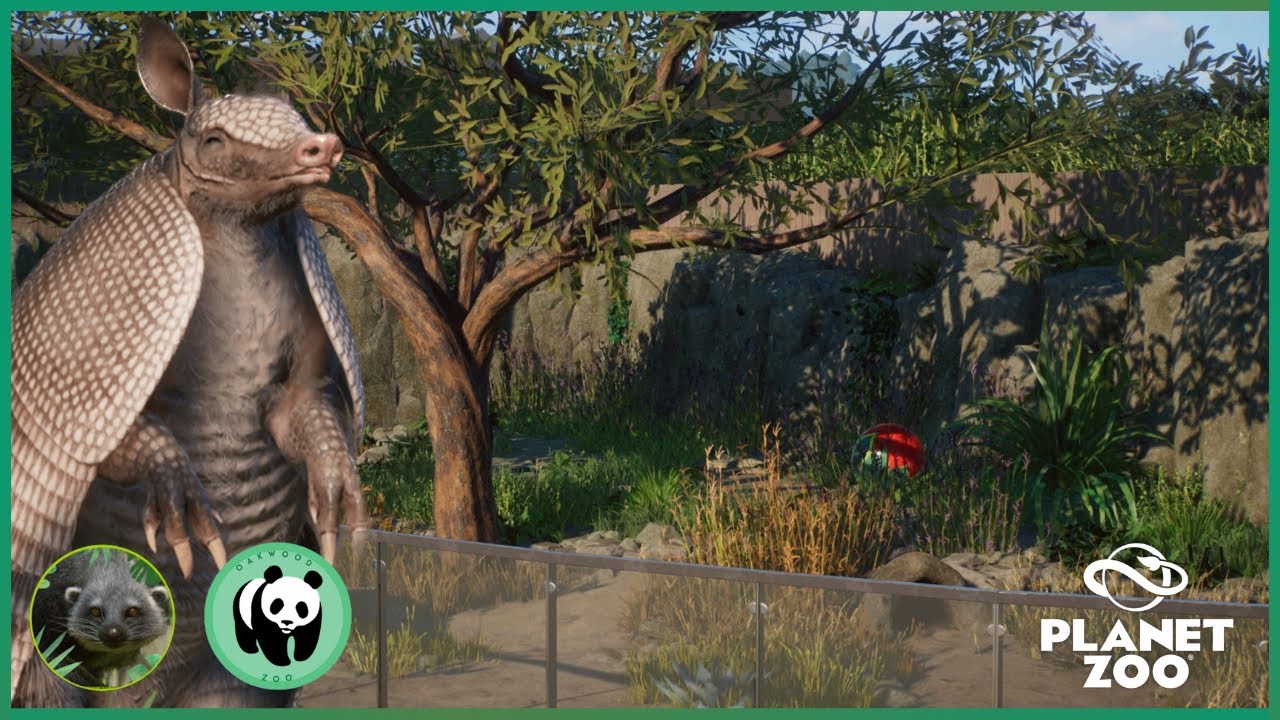 Nine-Banded Armadillo Exhibit | Ep. 10 | OakWood Zoo - YouTube