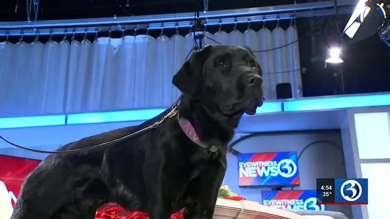 K9 Team with State Police Troop H - YouTube