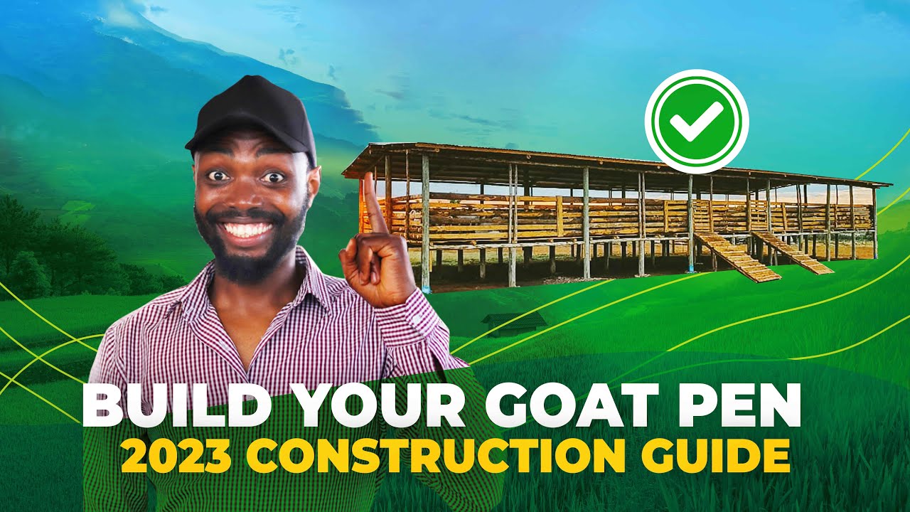 HOW TO BUILD YOUR GOAT PEN IN 2023| Farming In Africa - YouTube