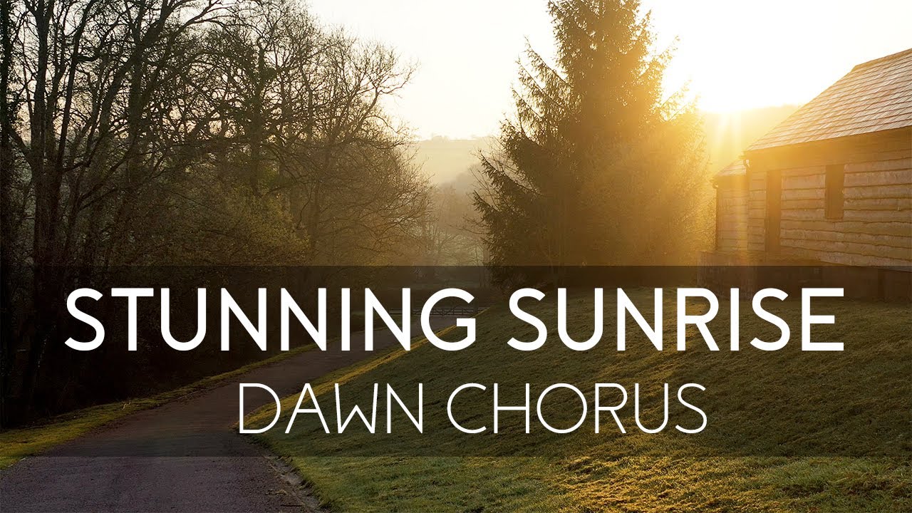 Frosty Morning in Devon - Stunning Aerial video with Amazing Dawn ...