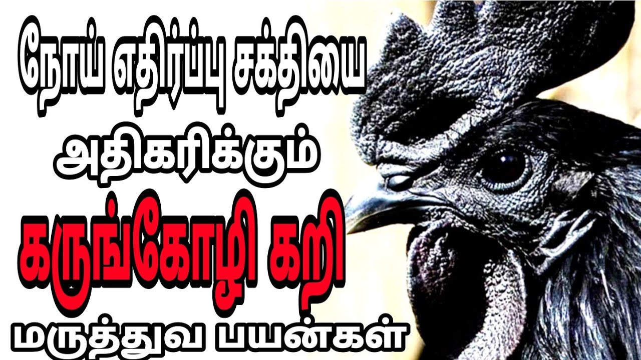 Embryonic Medicinal USES Tamil Tips YouTube Embryonic Medicinal USES Tamil Tips YouTube