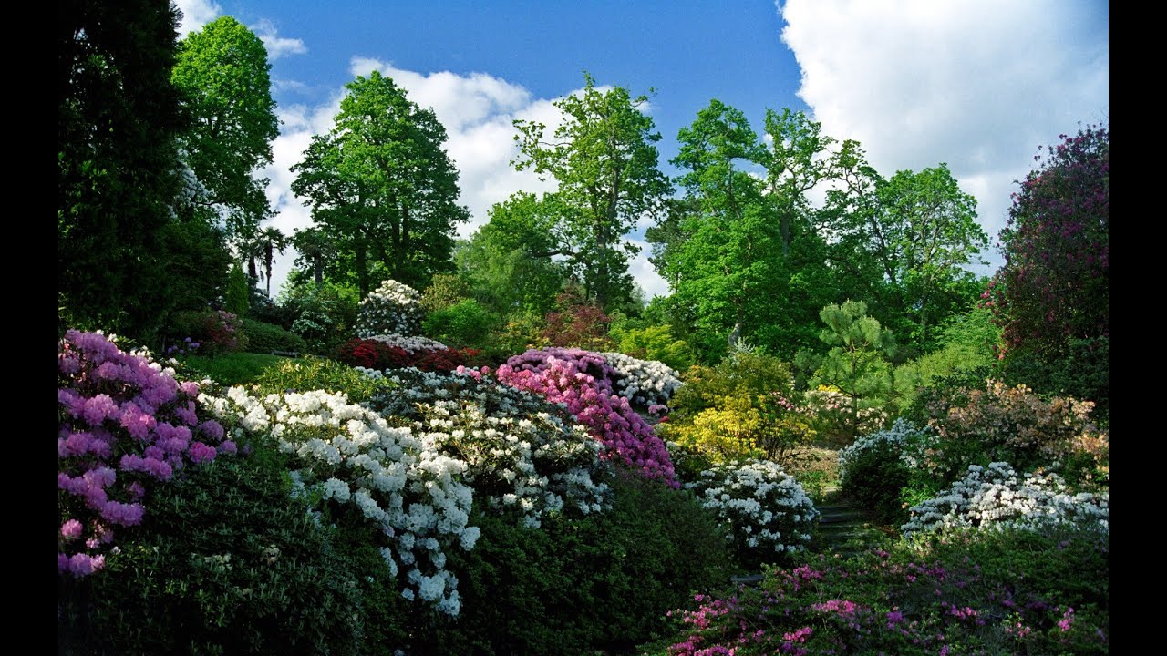 Magicxbeats - Love Reflection (Extended Version) - YouTube