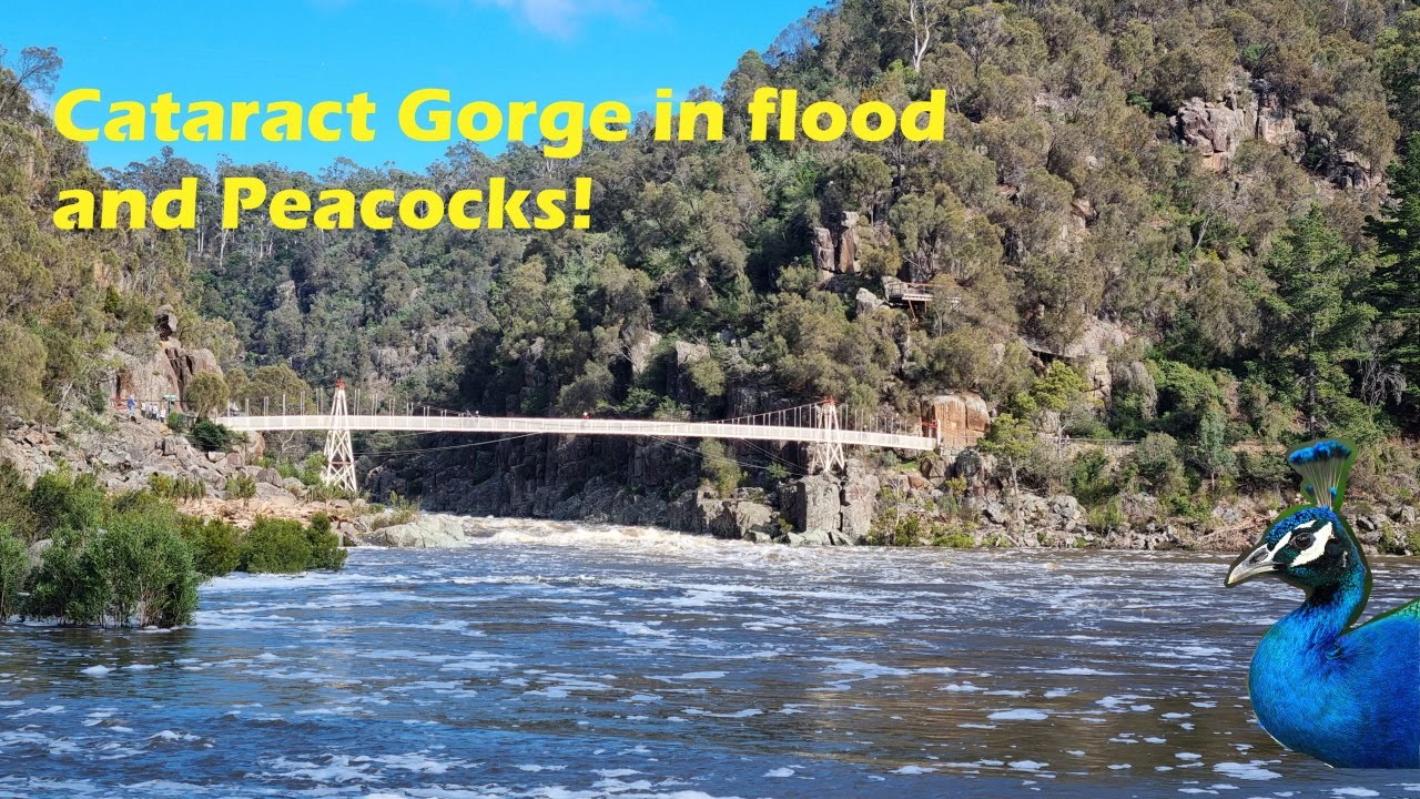 A walk around the Cataract Gorge Launceston Tasmania - YouTube