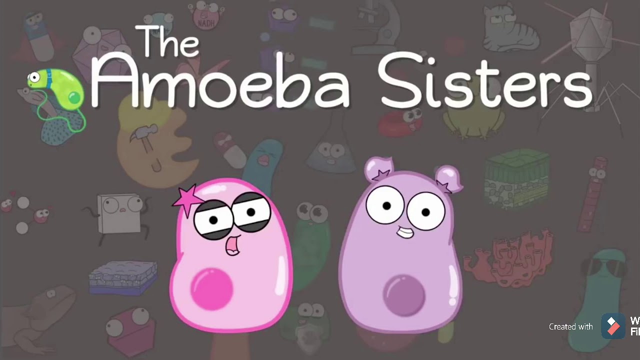 English project (ATP) by alora princess - YouTube