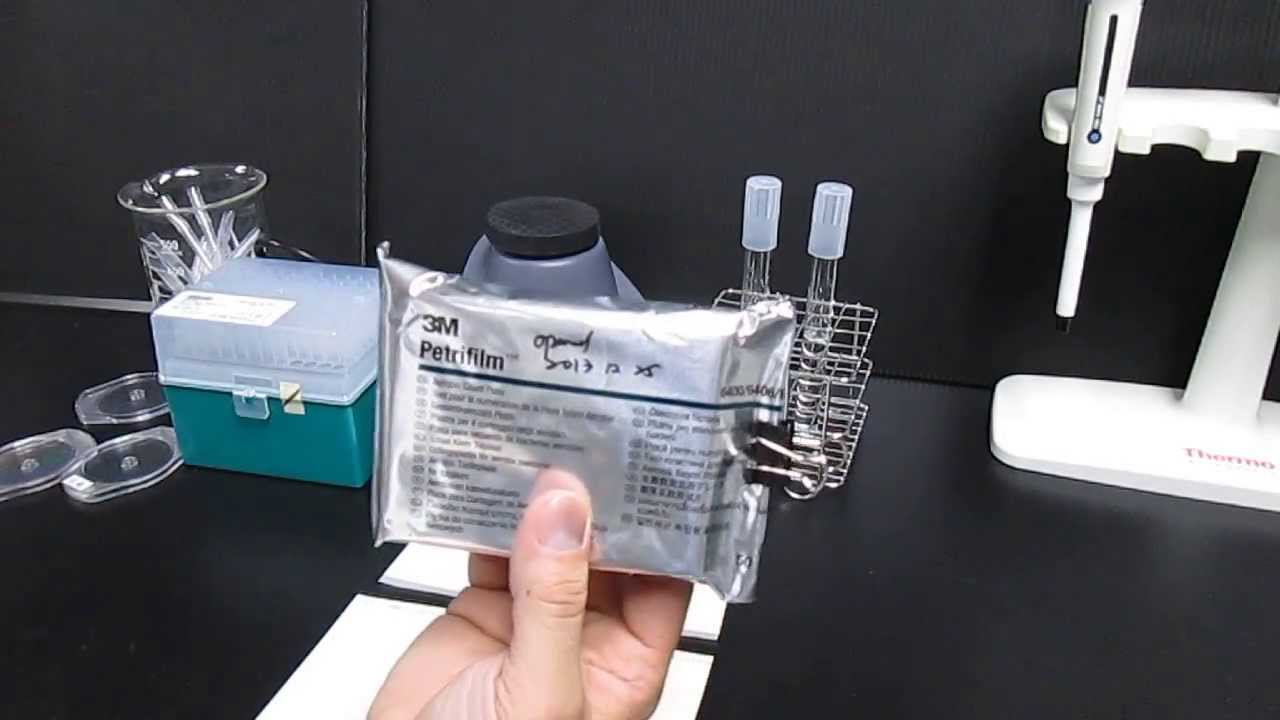 使用 3M Petrifilm AC 測定生菌數 (How to use 3M Petrifilm AC) - YouTube