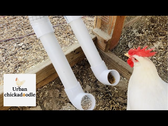 Pvc Chicken Feeders And Waterers Homemade Custom Built-No Waste-PVC