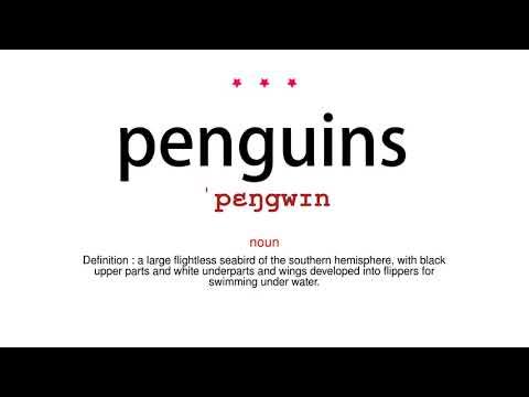 How to pronounce penguins - Vocab Today - YouTube