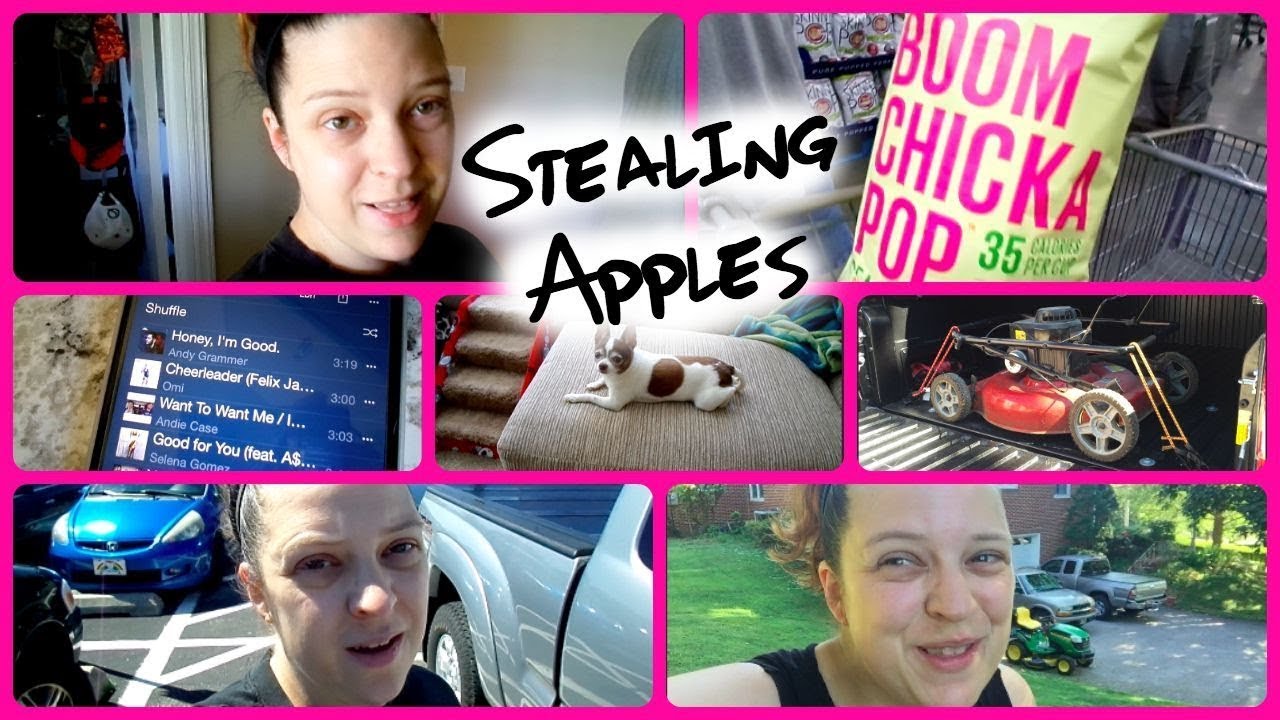 Stealing Apples - YouTube