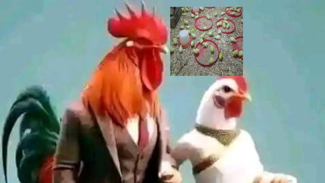 VIKEMBE//Orodha ya vizalia wa viumbe (List of offsprings or young ones ...