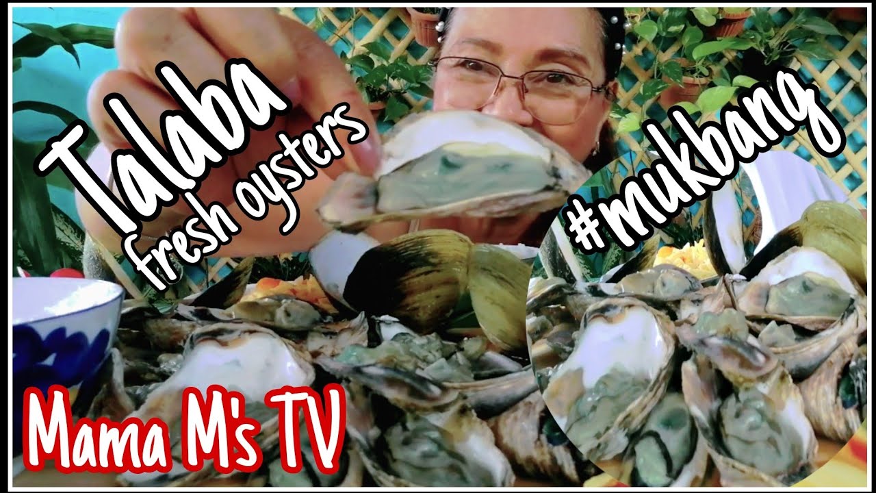 Talaba Fresh oysters /Fresh sea shell Mukbang @mamamstv - YouTube