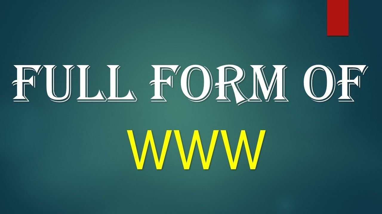 Full Forms Of WWW What Is The Full Form Of WWW YouTube