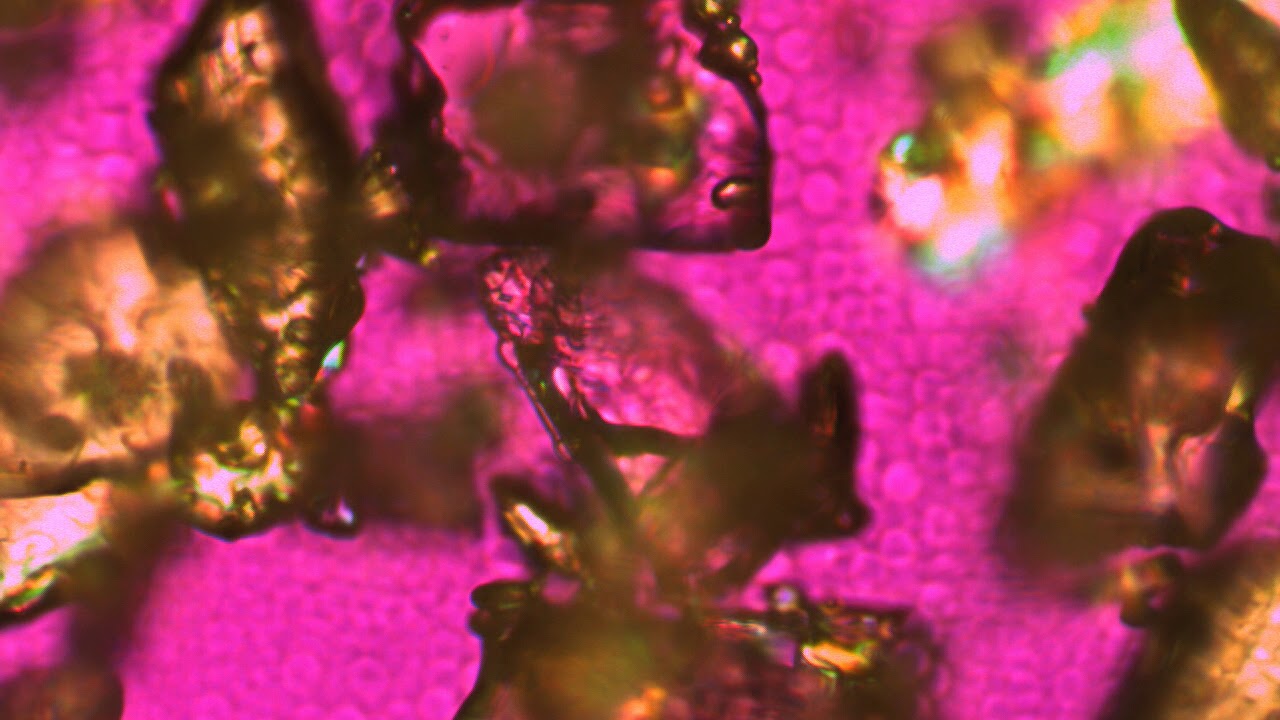 Hot stage microscopy video of the melting point standard Vanillin - YouTube