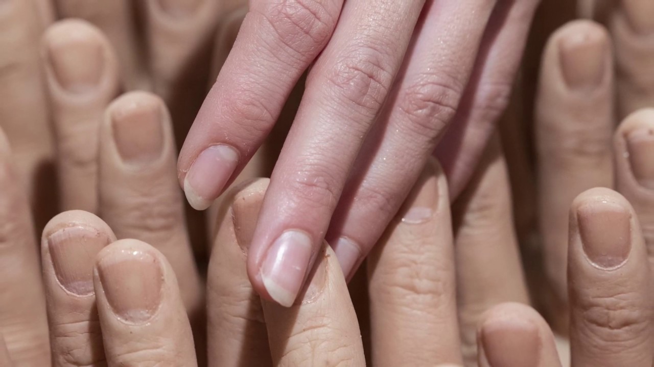 Nederland Unlocked - Laura A Dima - The Finger Rub Rug - YouTube