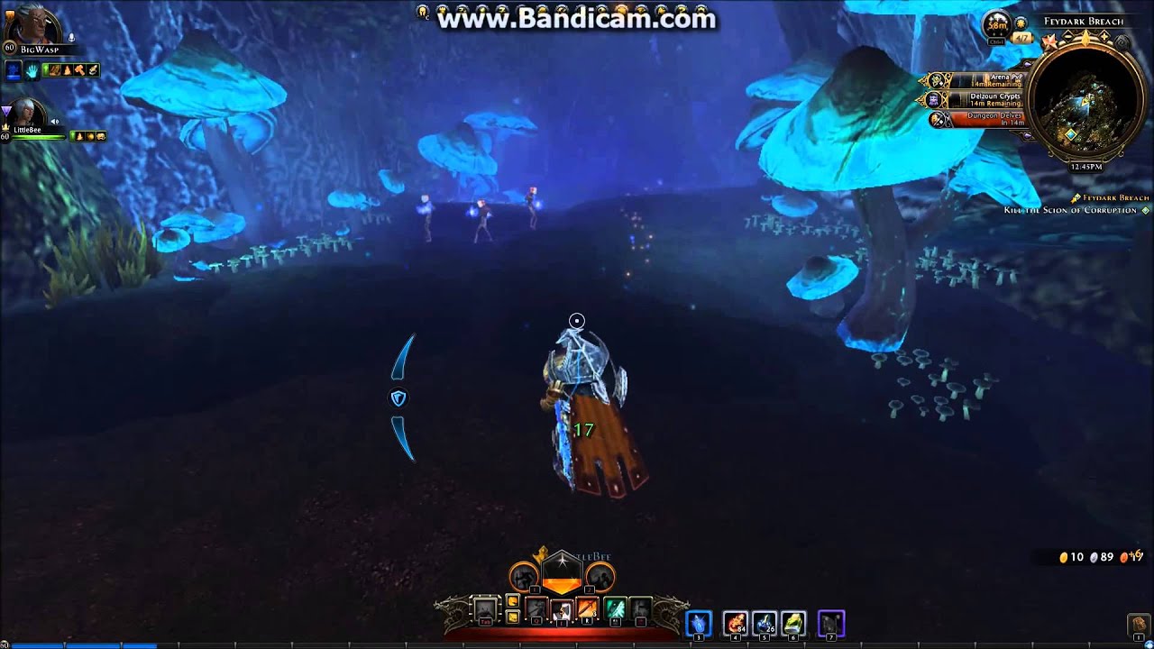 Neverwinter, Pve Guardian Fighter and Control Wizard Duo Feydark Breach ...