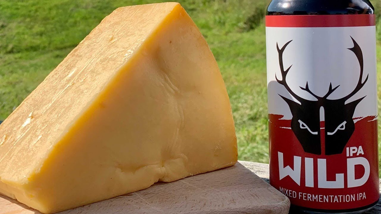 Wild IPA & Cheese teaser with Brett and Izzy - YouTube