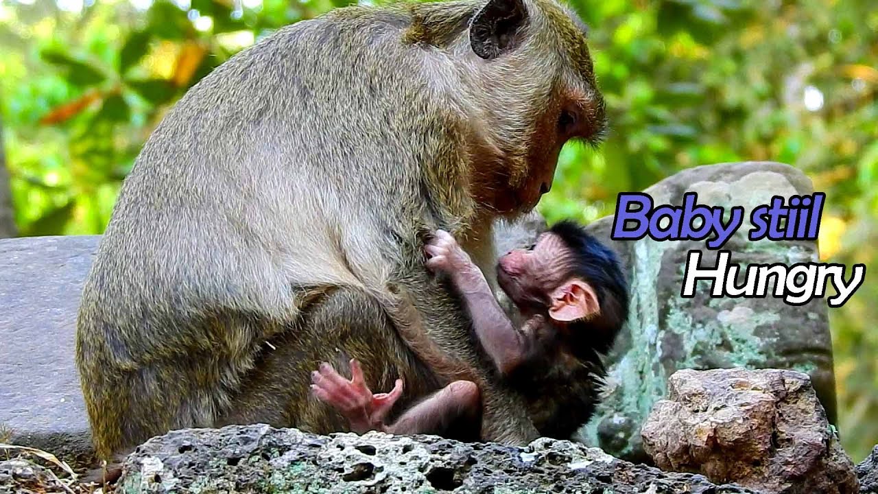 Marria Loves Baby So Warm that take care that good all-time | Beloved ...