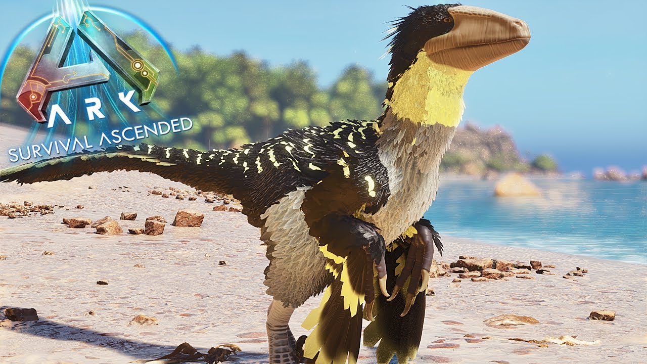 NUEVO PYRORAPTOR EN ARK: SURVIVAL ASCENDED | PlayiNkZ - YouTube