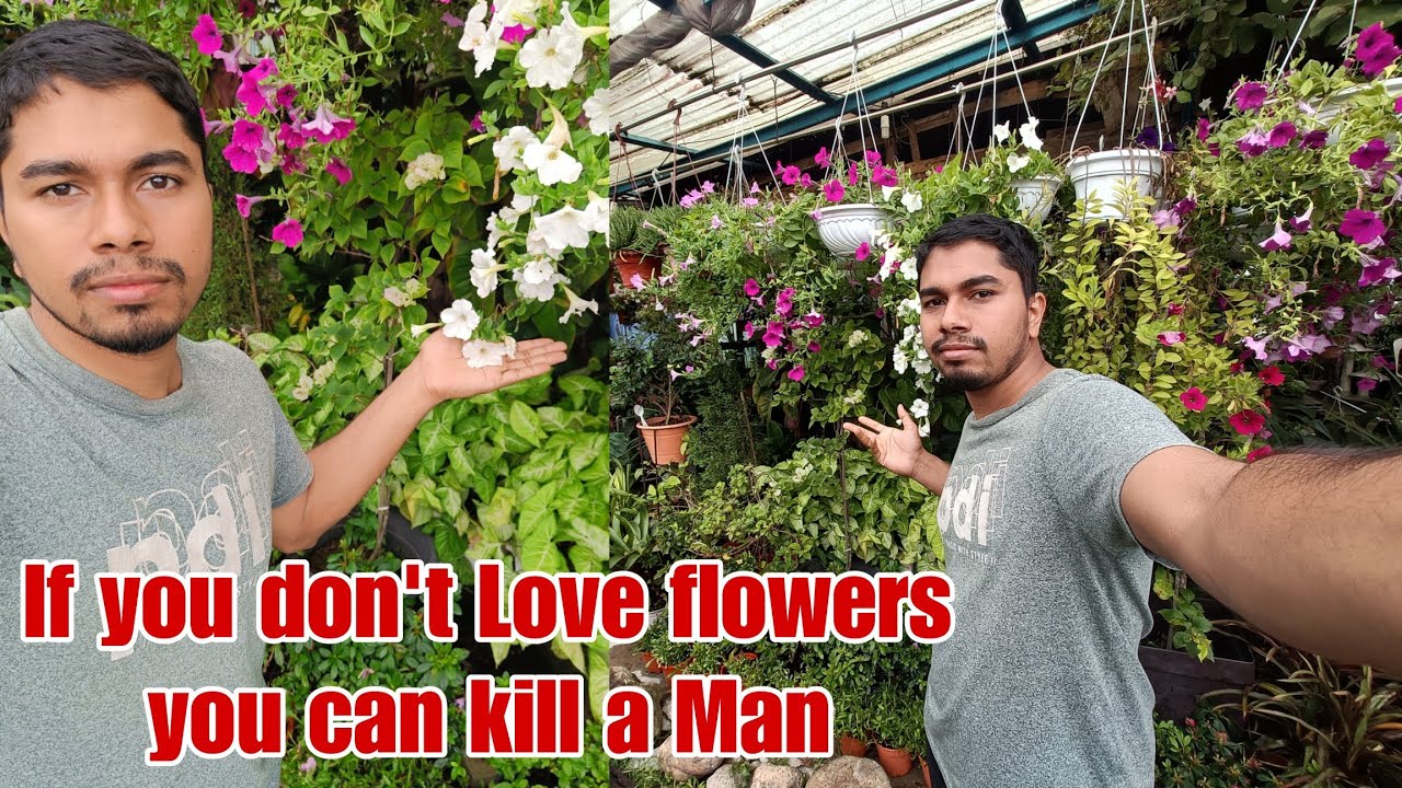 If you don't love flowers 🌺 you are very unromantic । Nursery of flowers vlog । Ahmed Ehsan ...