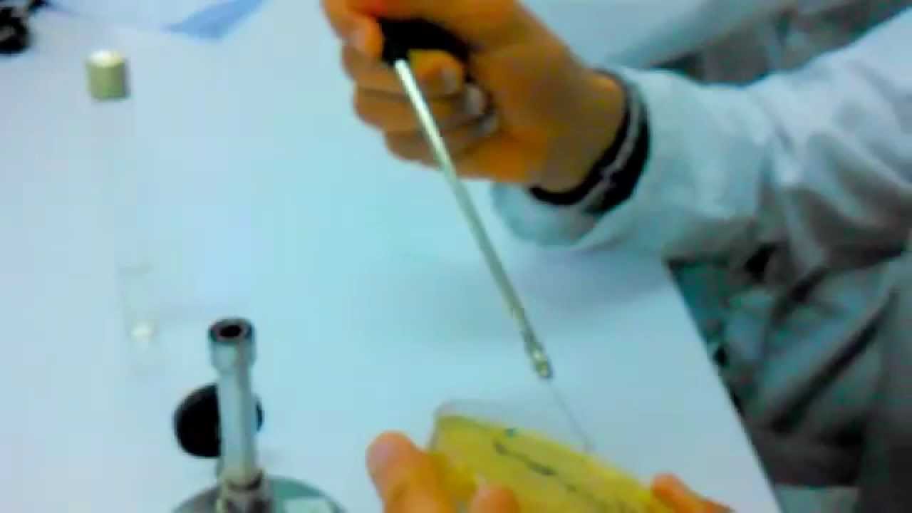 Préparation de frottis Tp micro 4 - YouTube