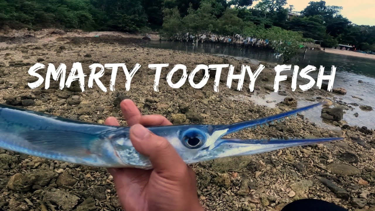 Smart Fish Outsmarted ! || Ultralight Casting || Stradic 1000 + Capung ...