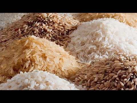 Ivory Coast aims to become food self-sufficient by 2020 by increasing ...