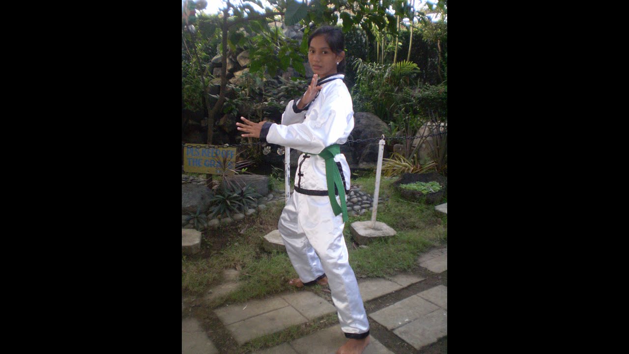 Dynamic Kung-fu Martial Arts for Self Defense - YouTube