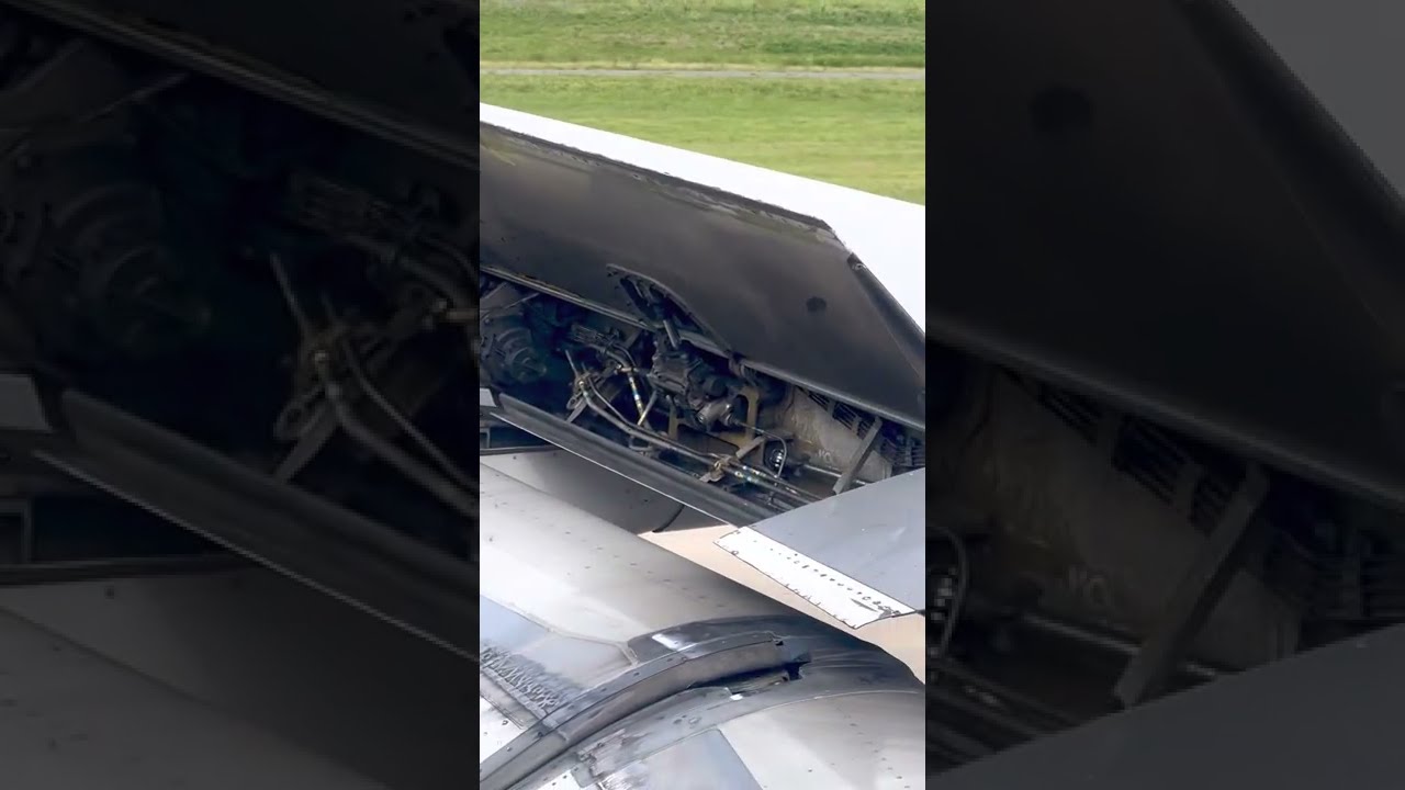 🏆 landing closer look inside the wings COMPLEXED MACHINES SPECTACULAR ...