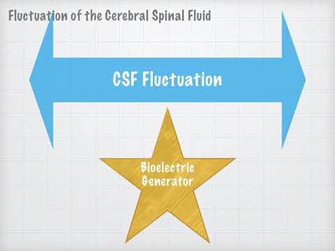 Osteopathic Cranial Manipulative Medicine MOA Video - YouTube