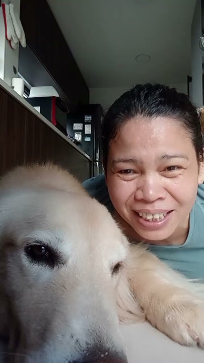 he wants me to exercise more#youtube#doglover #goldenretreiver#dogowner #patrondog#dog #doggie# ...