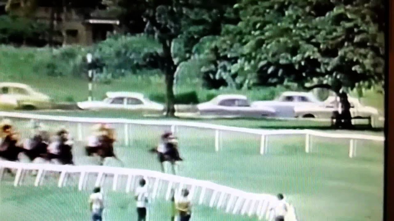 Trinidad Horse Racing 1979 - YouTube