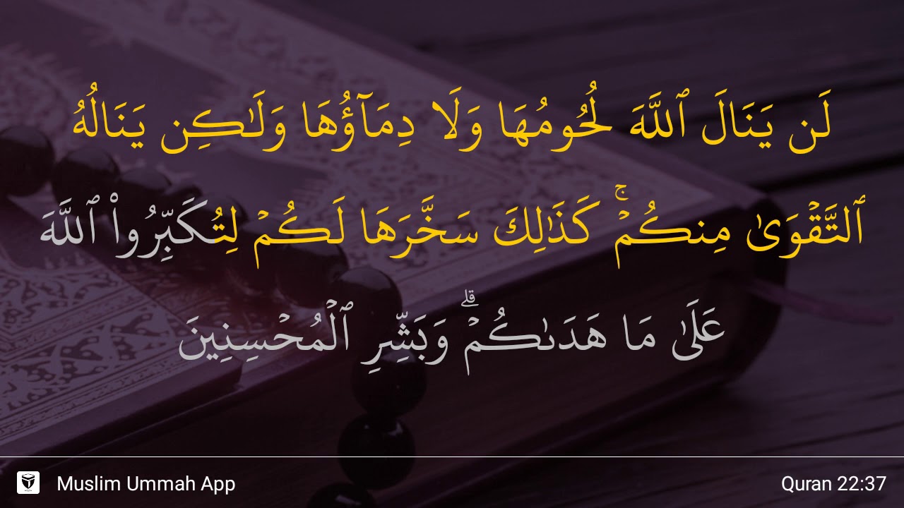 Al-Hajj ayat 37 - YouTube