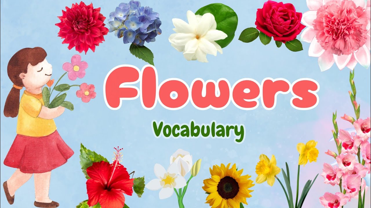 Flowers names| Flowers Vocabulary| kids learning| English learning # ...