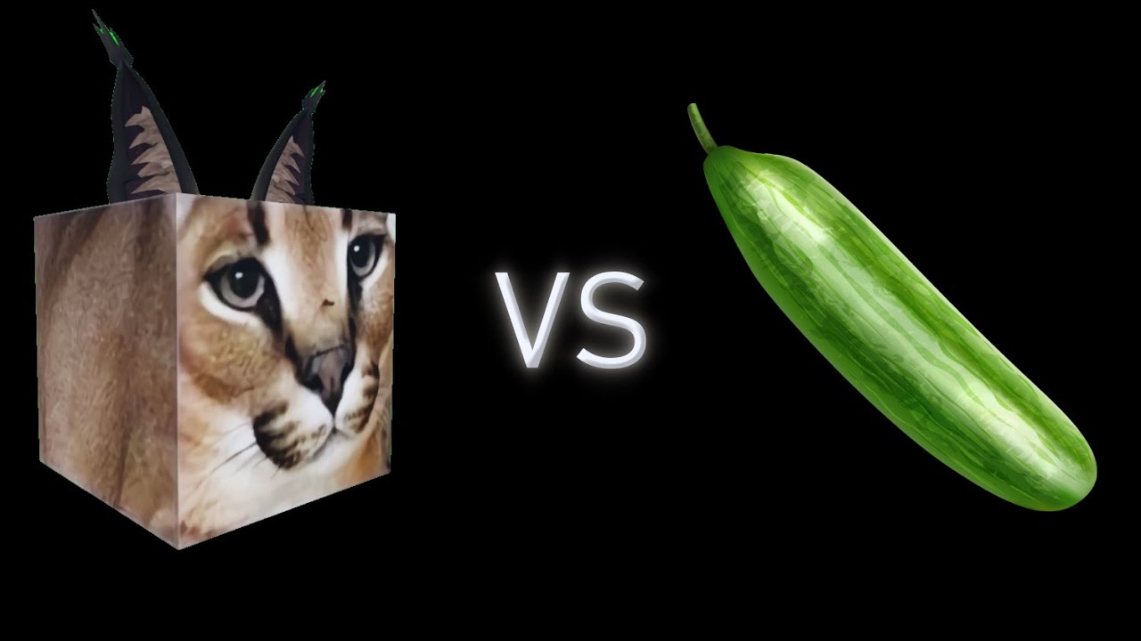 Floppa VS Cucumber - YouTube