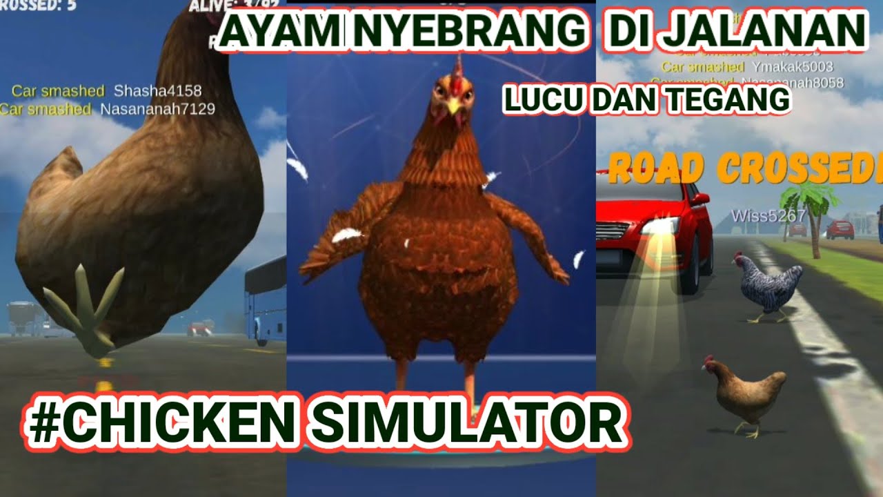 Game Ayam nyebrang lucu - Bikin tegang | CHICKEN SIMULATOR - YouTube