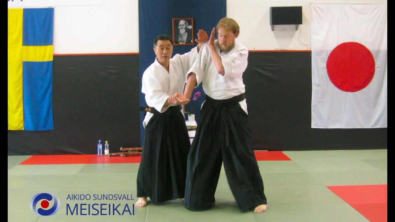 Aikido Ai Hanmi Low Position Kokyonage, Shishiya Sensei Sundsvall 2012 ...