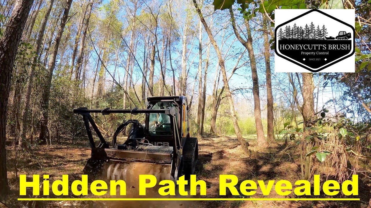 Resurrecting a Hidden Path with a Forestry Mulcher and JCB 270T - YouTube