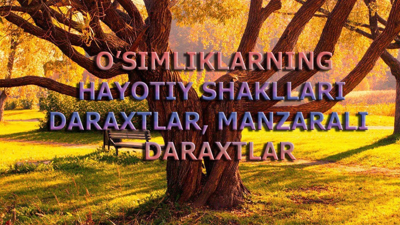 O'simliklarning Hayotiy Shakllari:Daraxtlar, Manzarali Daraxtlar. - YouTube