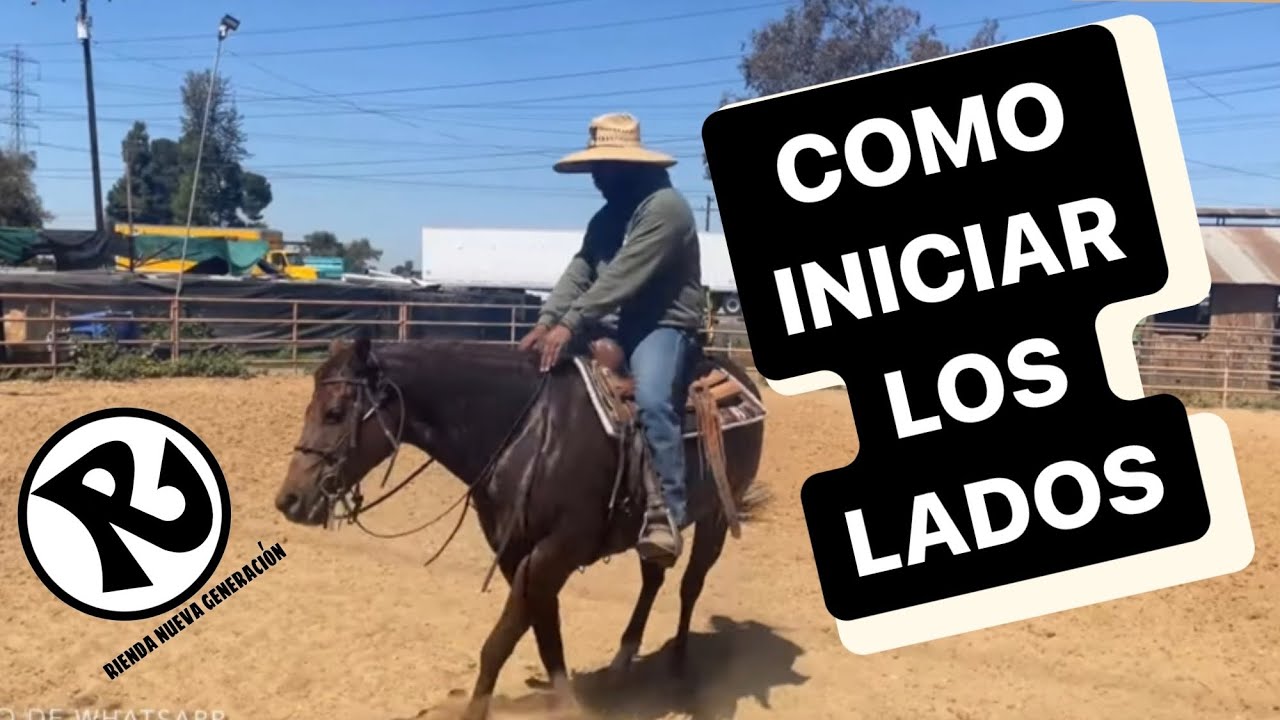 Como enseñar a tu caballo a dar lados (inicios de lados) - YouTube