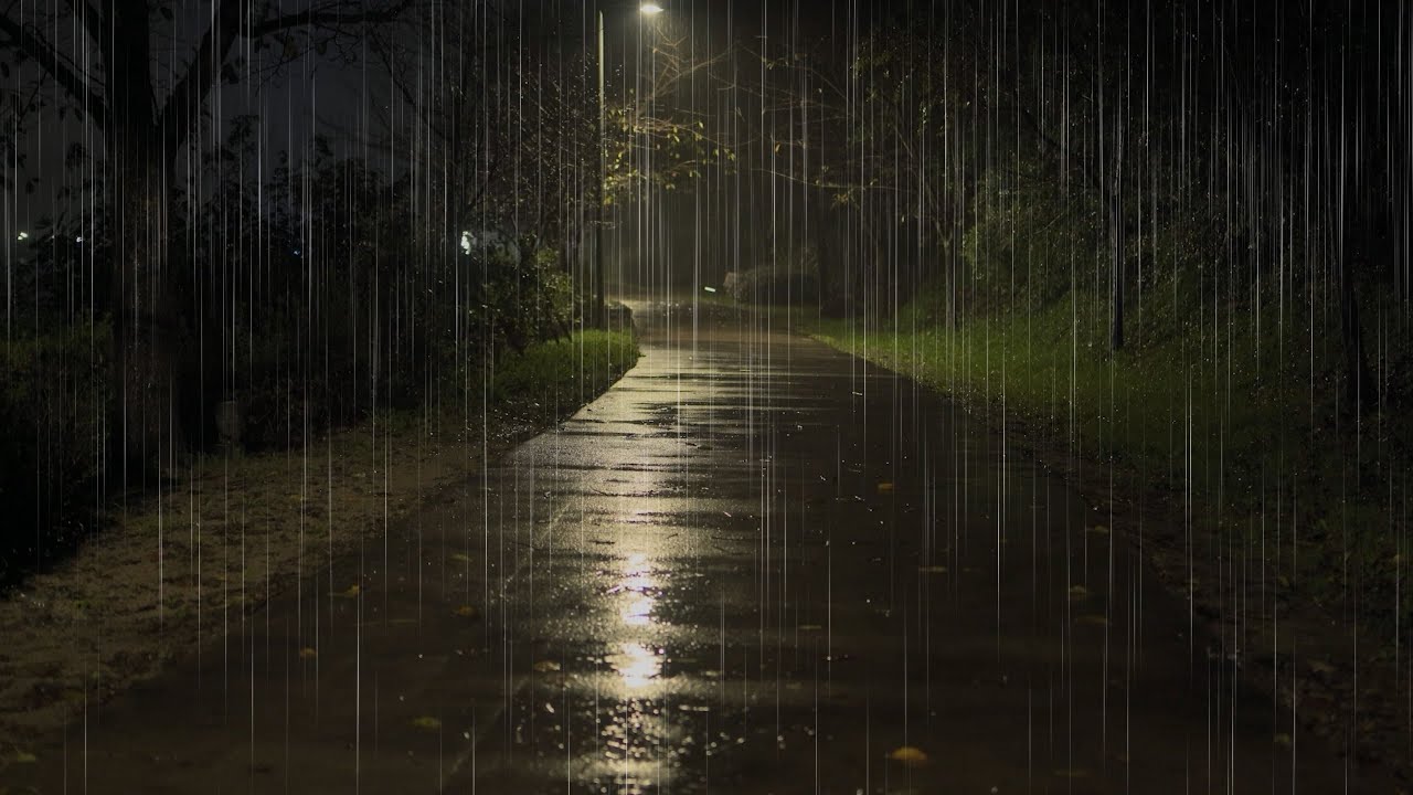 Cozy Rain│Calm Rain│Relax│Peaceful│Rain sounds for sleeping - YouTube