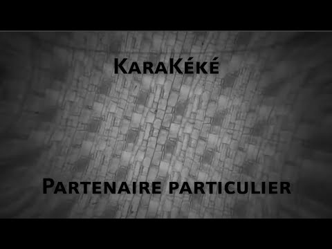 Partenaire Particulier - Partenaire Particulier | Version Karaoké - YouTube