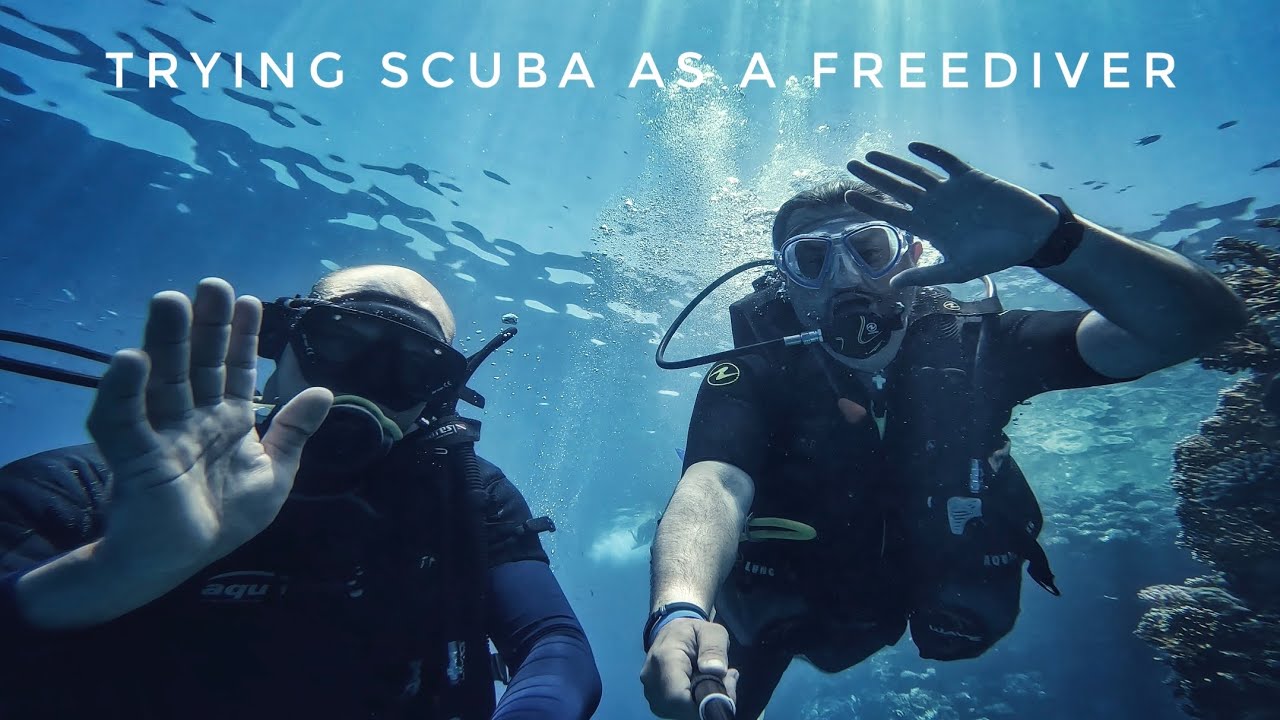 Trying Scuba Diving as a Freediver - YouTube
