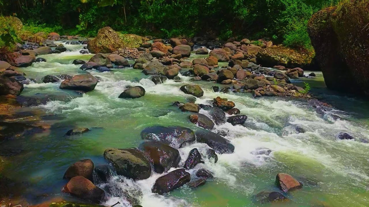 03/11 Peaceful Stream Babbling Streams Relaxing Nature Amazing Nature ...