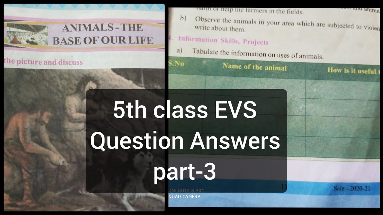 5th Class EVS Lesson 1 Question Answers Part 3 Animal The Base Of Our 5th-class-evs-lesson-1-question-answers-part-3-animal-the-base-of-our