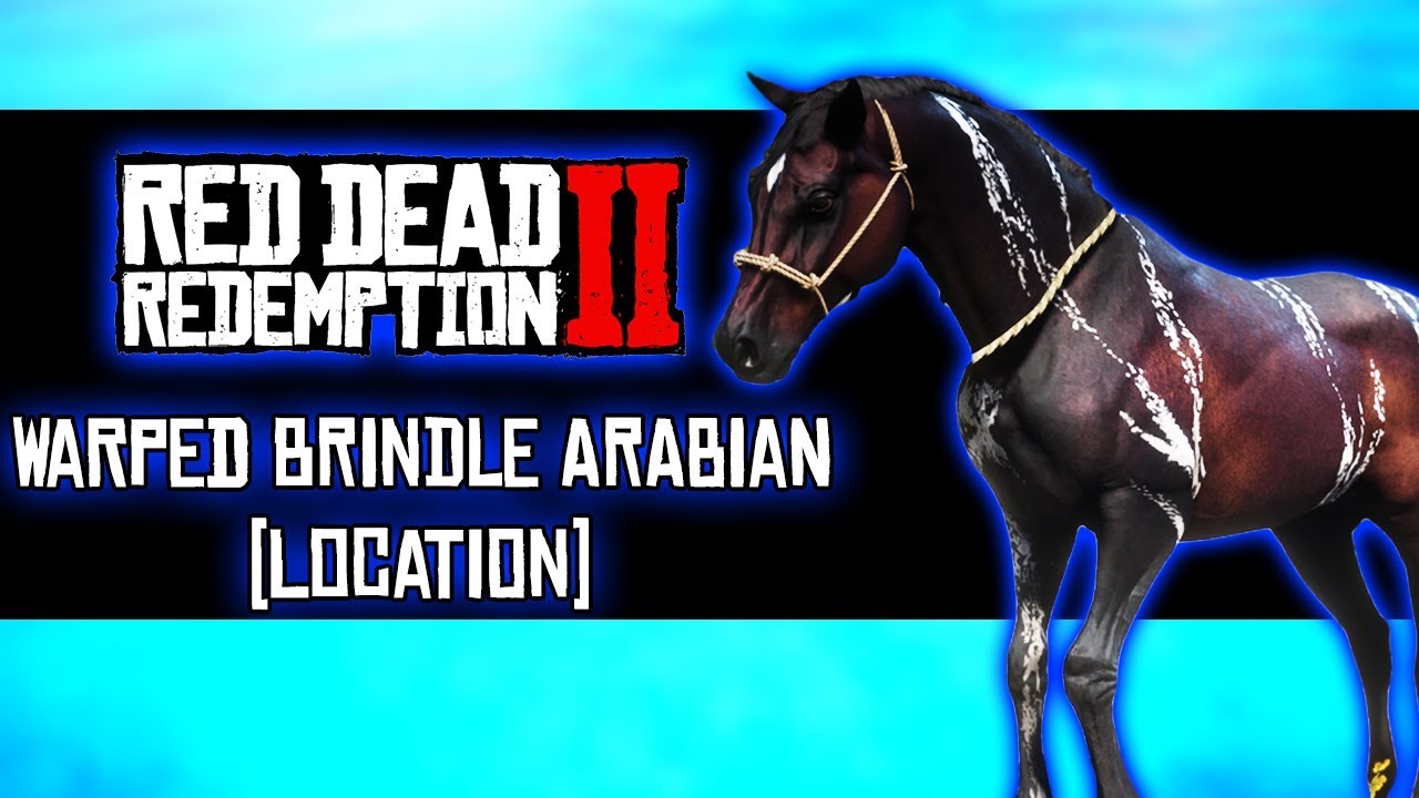 Rdr2 warped brindle arabian location