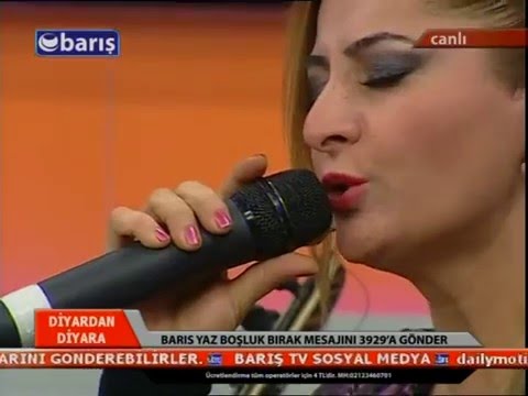BARIS TV NERMİN AKDEMİR (DİYARDAN DİYARA) 11.01.2016