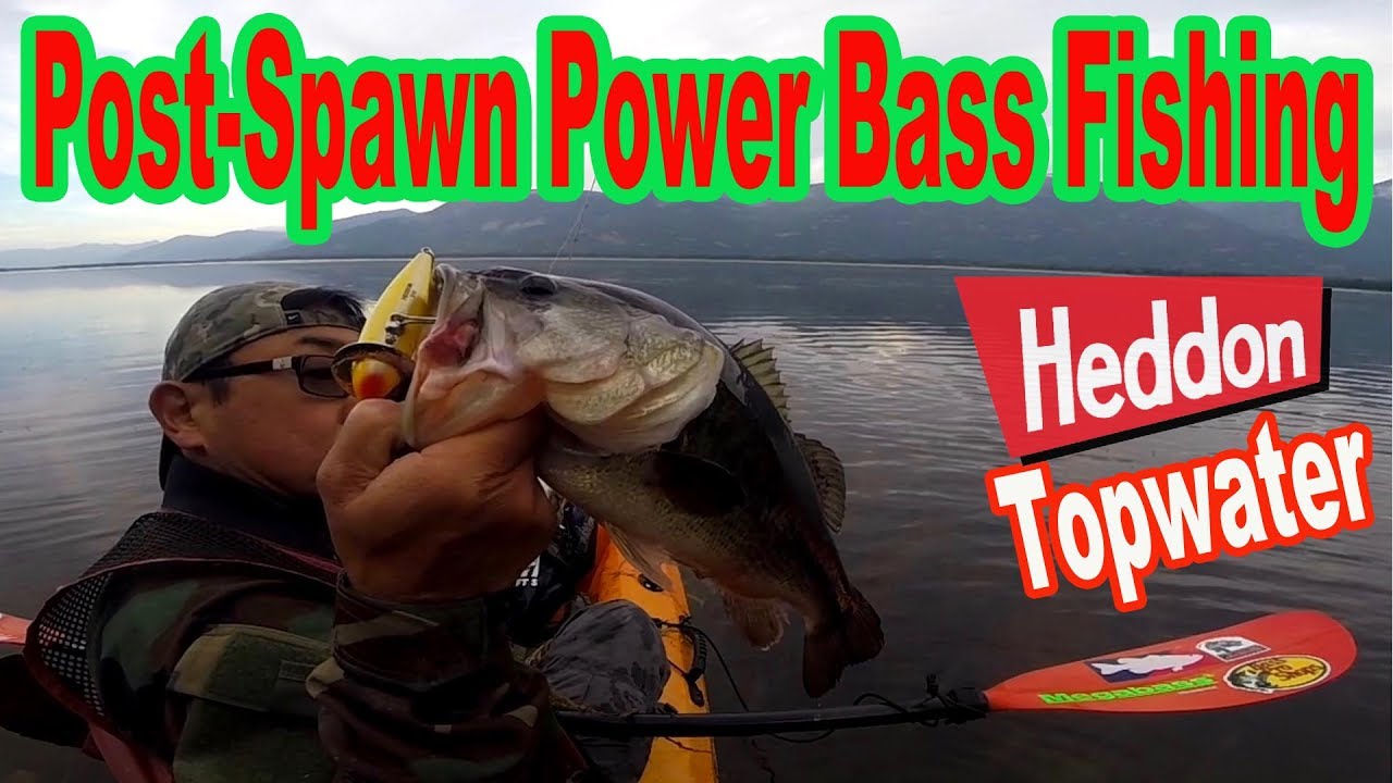 Post-spawn Power Bass Fishing -Part 2 Topwater- - YouTube
