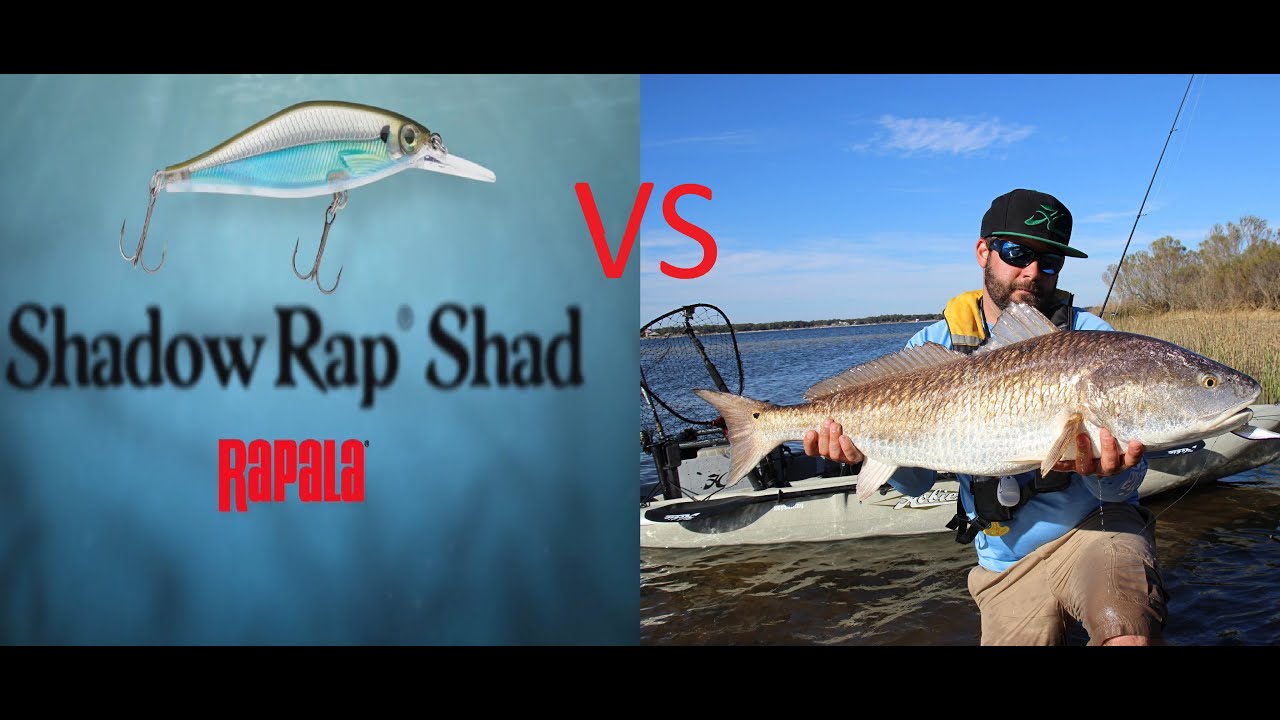 Rapala Shadow Rap Shad vs 40 inch redfish - YouTube