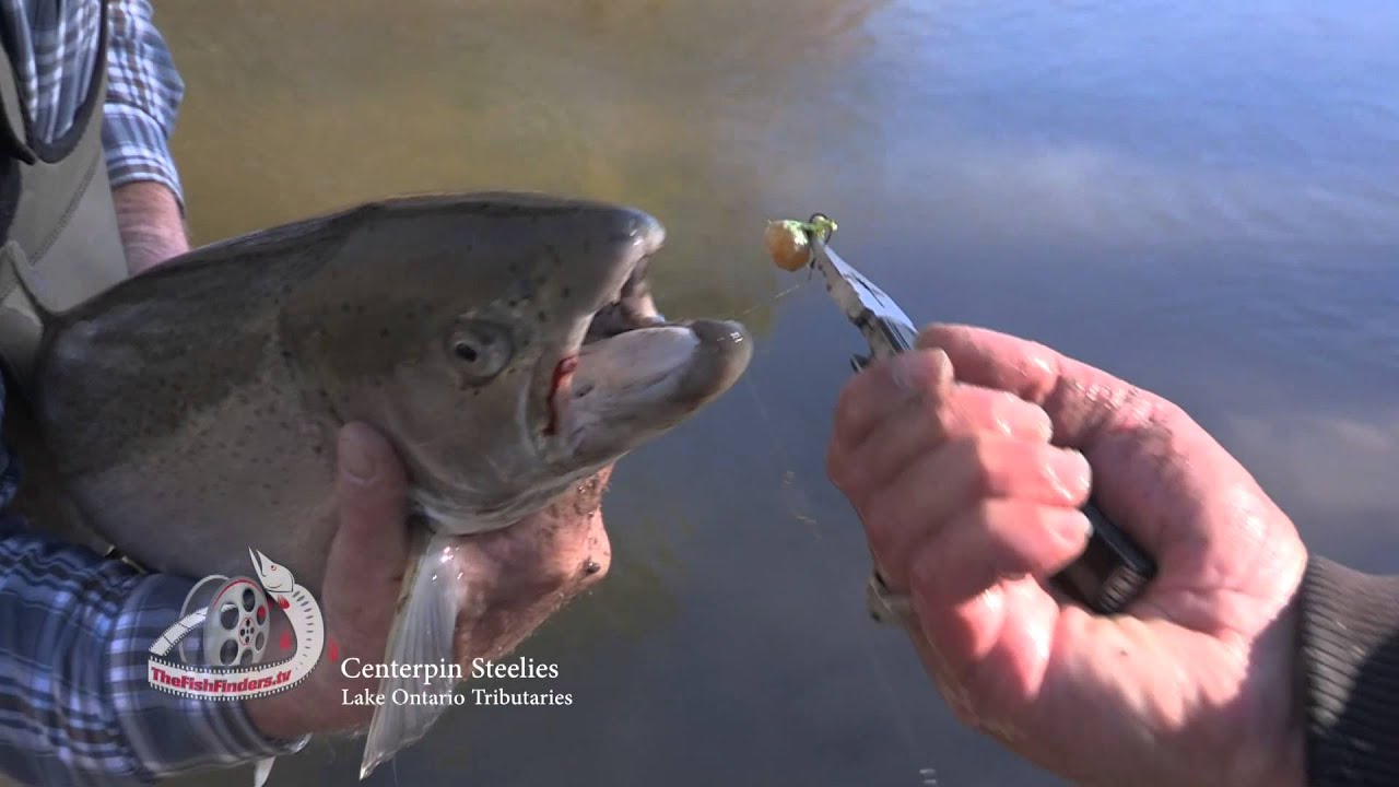 Centerpin Steelhead Fishing - The Fish Finders Season 2 Epiosde 11 ...